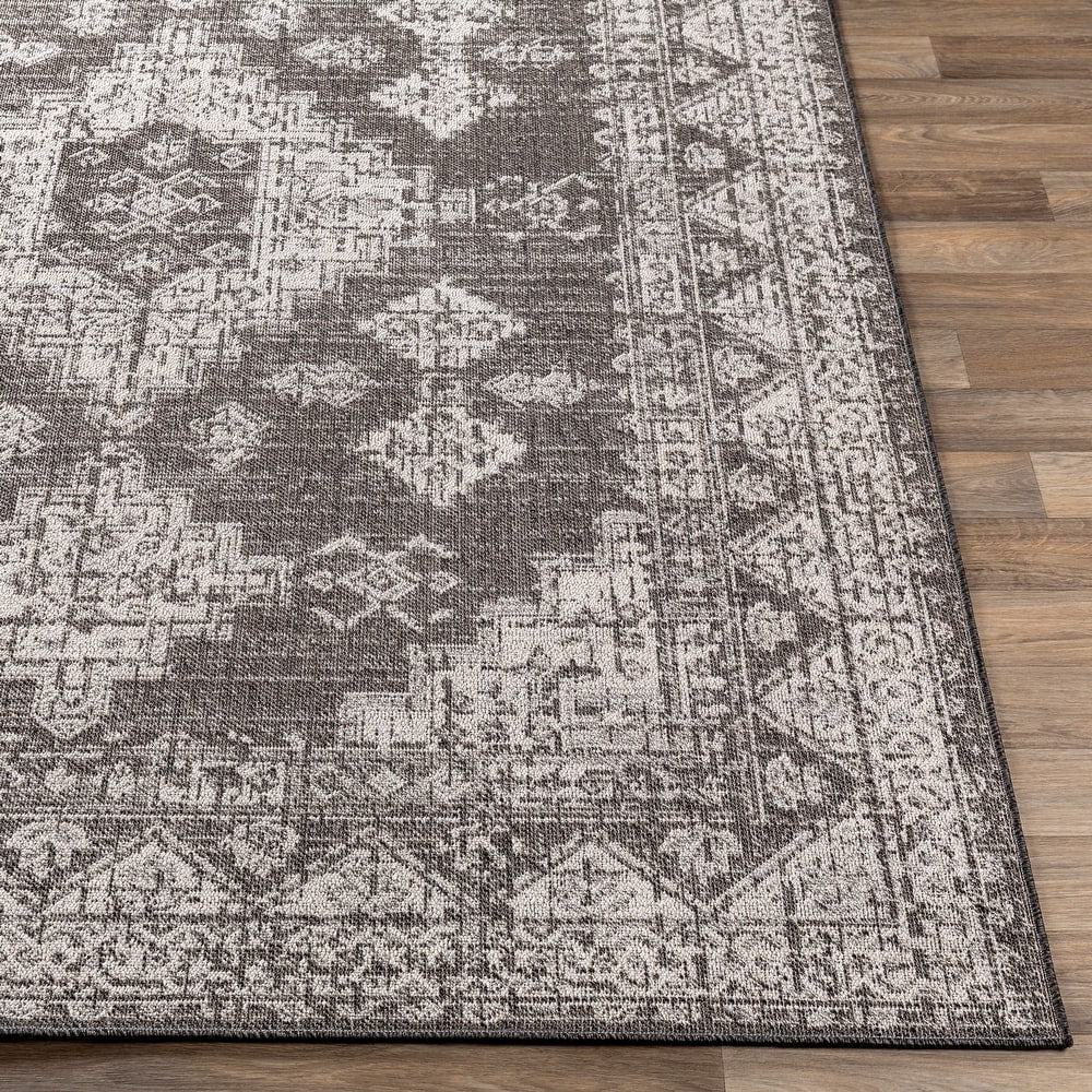 Indoor / Outdoor Updated Traditional Area Rug – Ashley Area Rugs